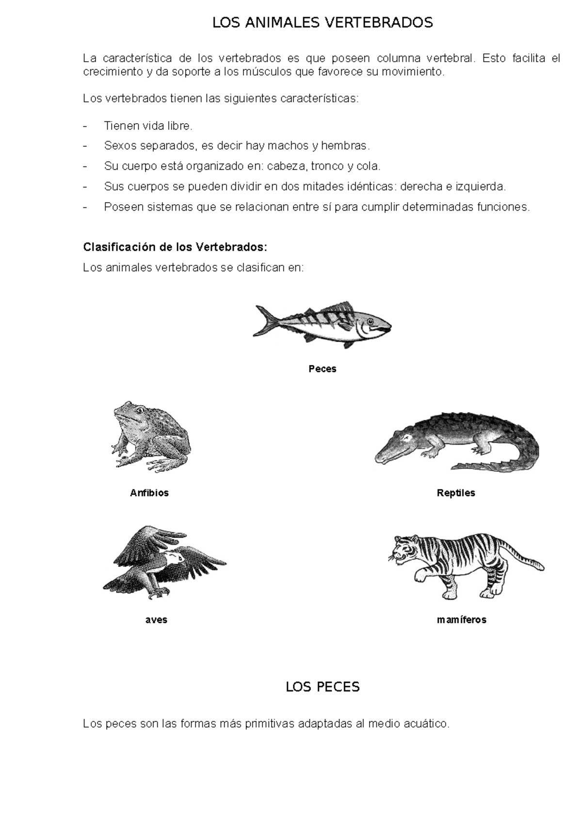 LOS Animales Vertebrados - LOS ANIMALES VERTEBRADOS La característica ...