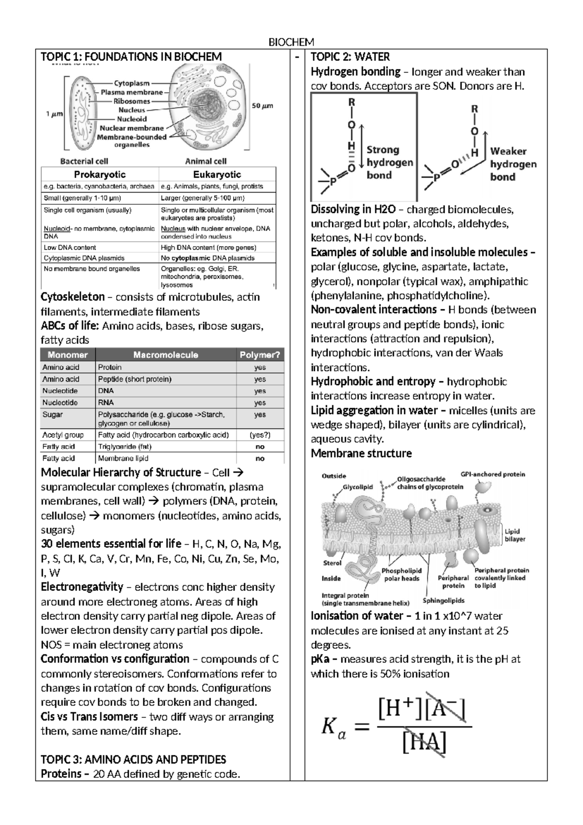 Biochem Final Notes - TOPIC 1: FOUNDATIONS IN BIOCHEM Cytoskeleton ...