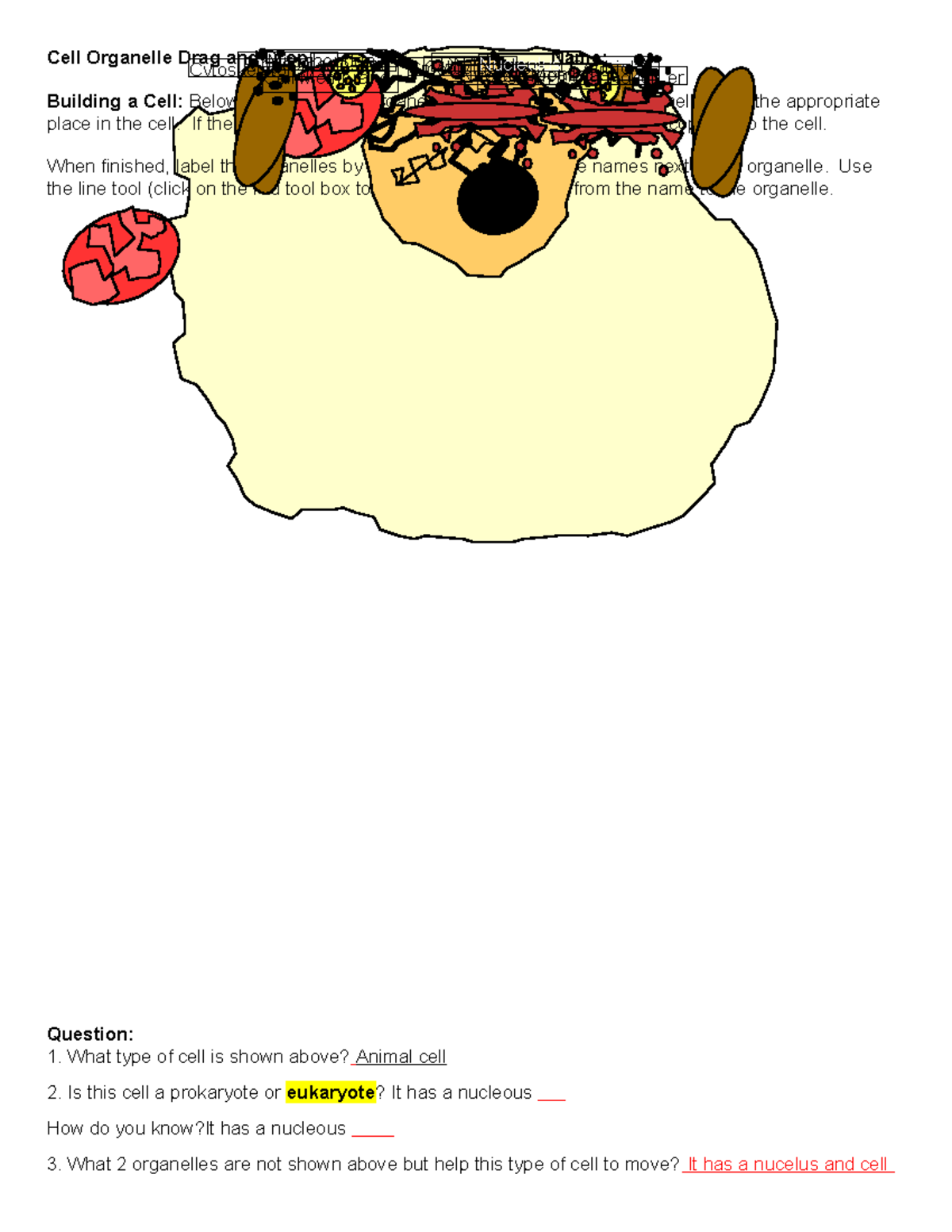 Cell organelle drag drop - Cell Organelle Drag and Drop Name: Building ...