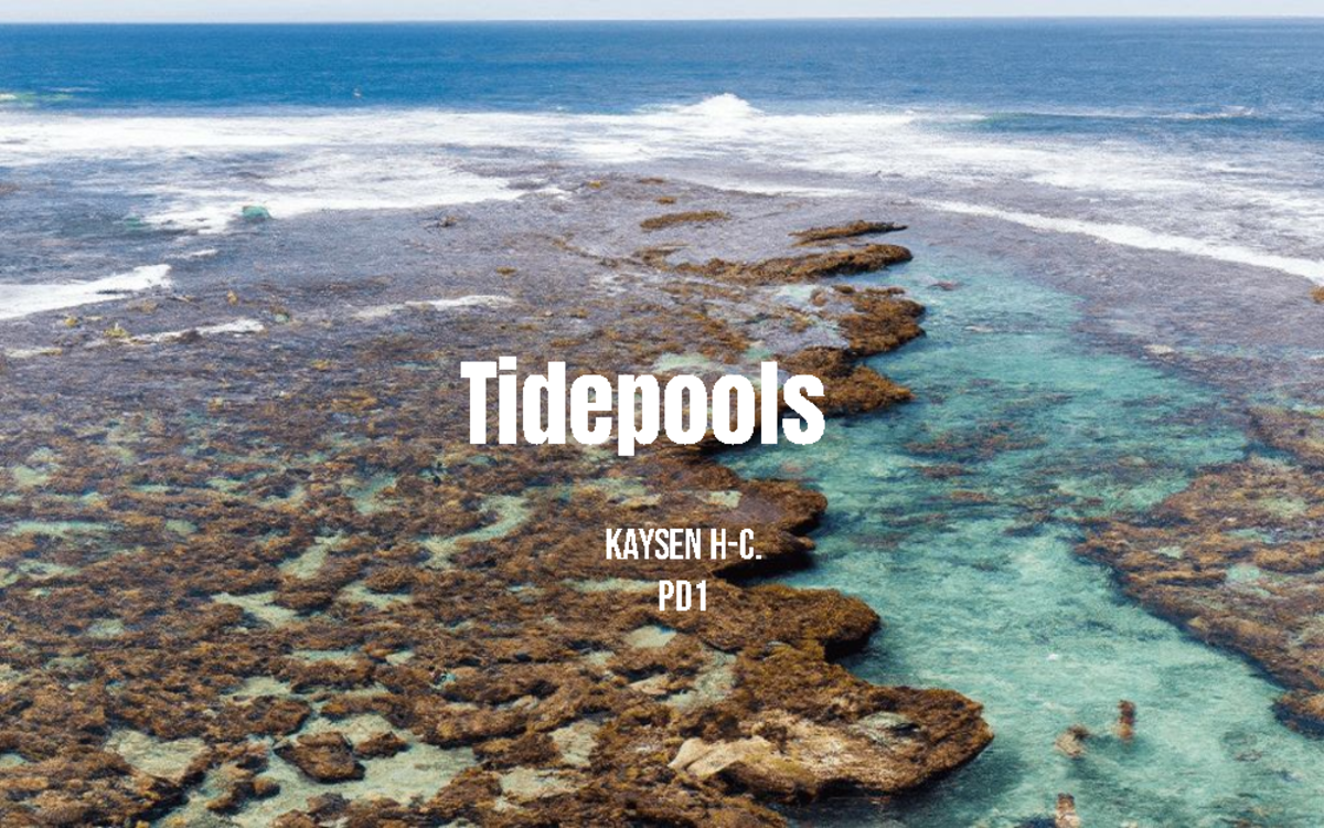 Marine Biology Project - Tidepools Kaysen H-C. Pd What lives in ...