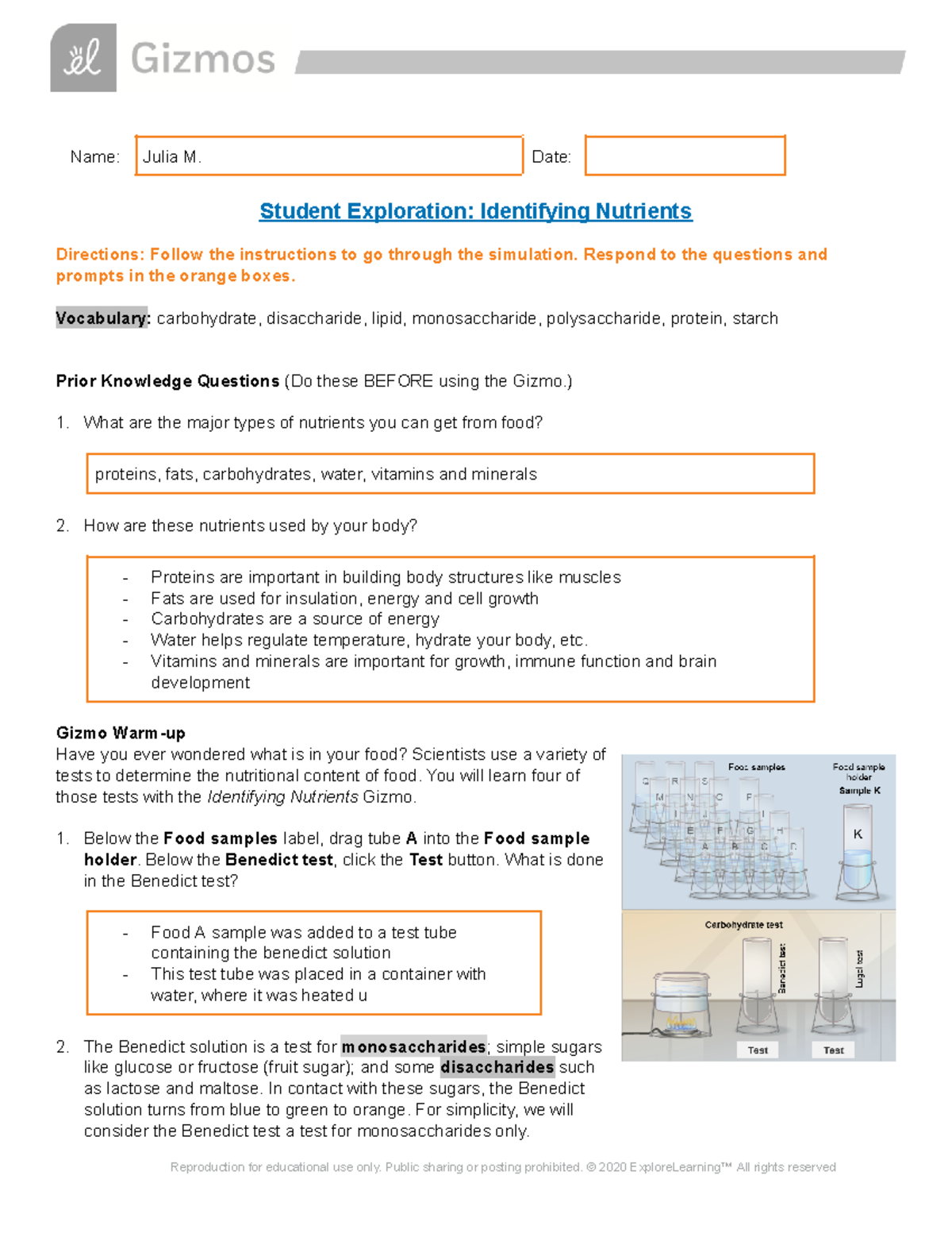 Identifying Nutrients - Name: Julia M. Date: Student Exploration ...