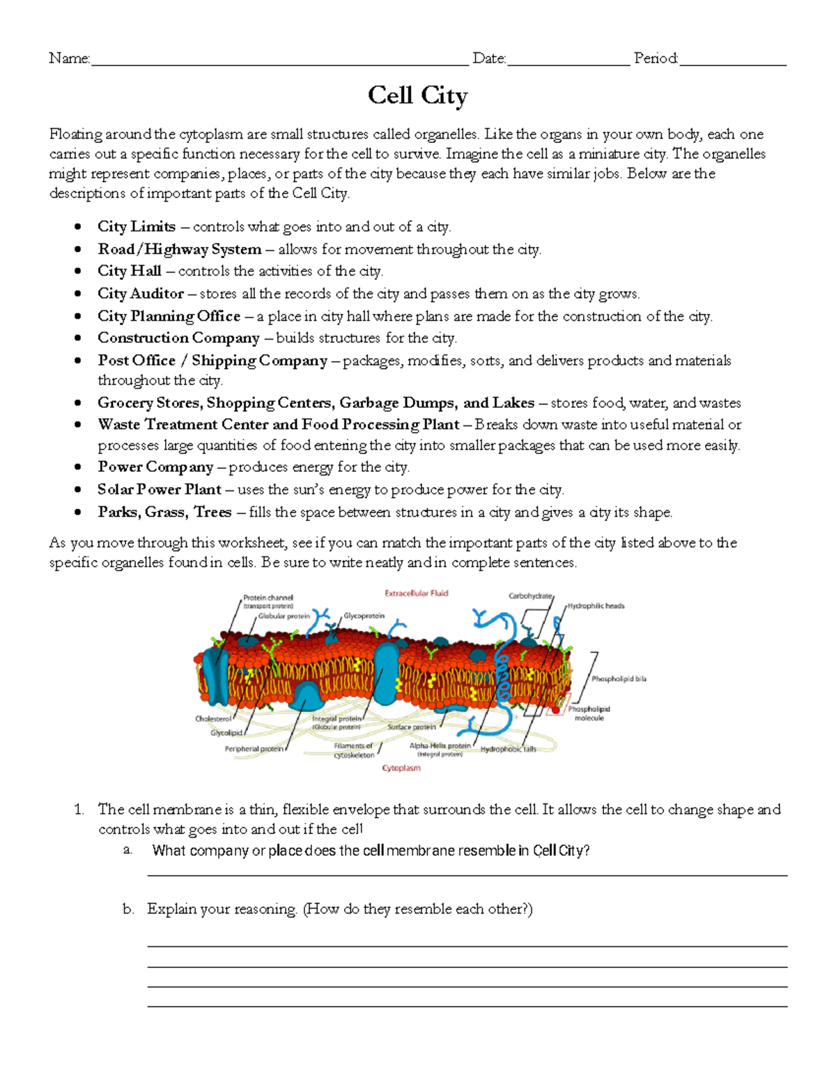 Kami Export - annotated-Cell%20City - Name