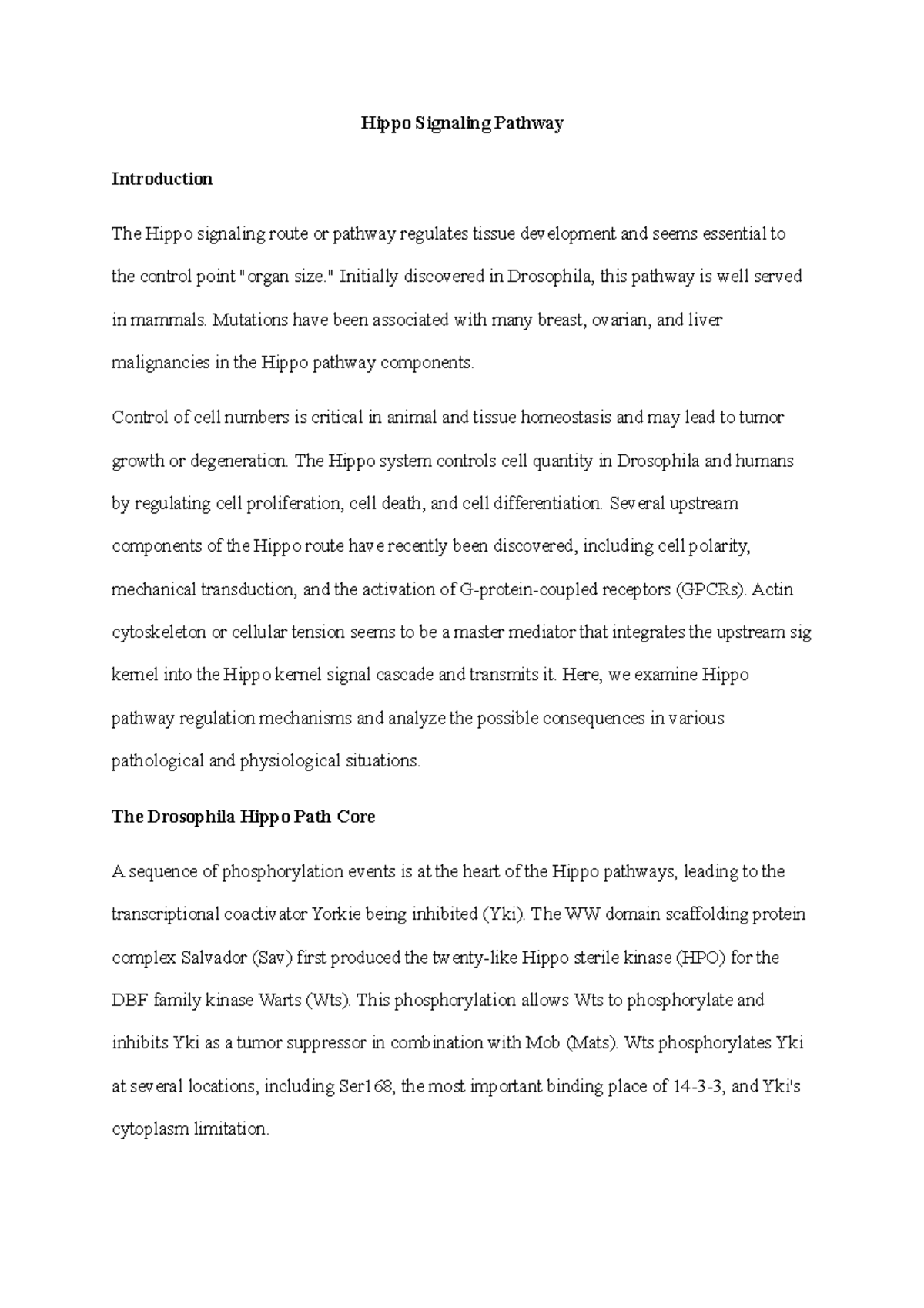 Hippo Signaling Pathway.edited - Hippo Signaling Pathway Introduction ...