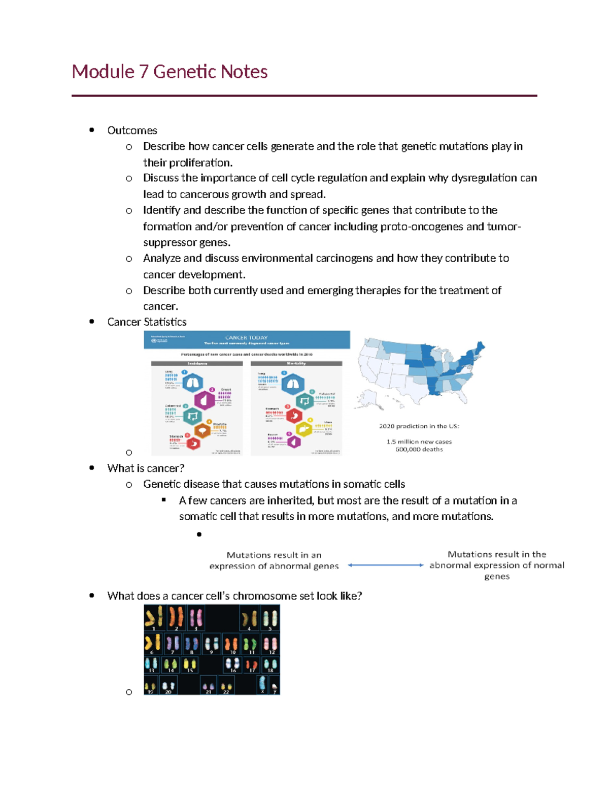 Module 7 Genetics Notes - Module 7 Genetic Notes Outcomes o Describe ...