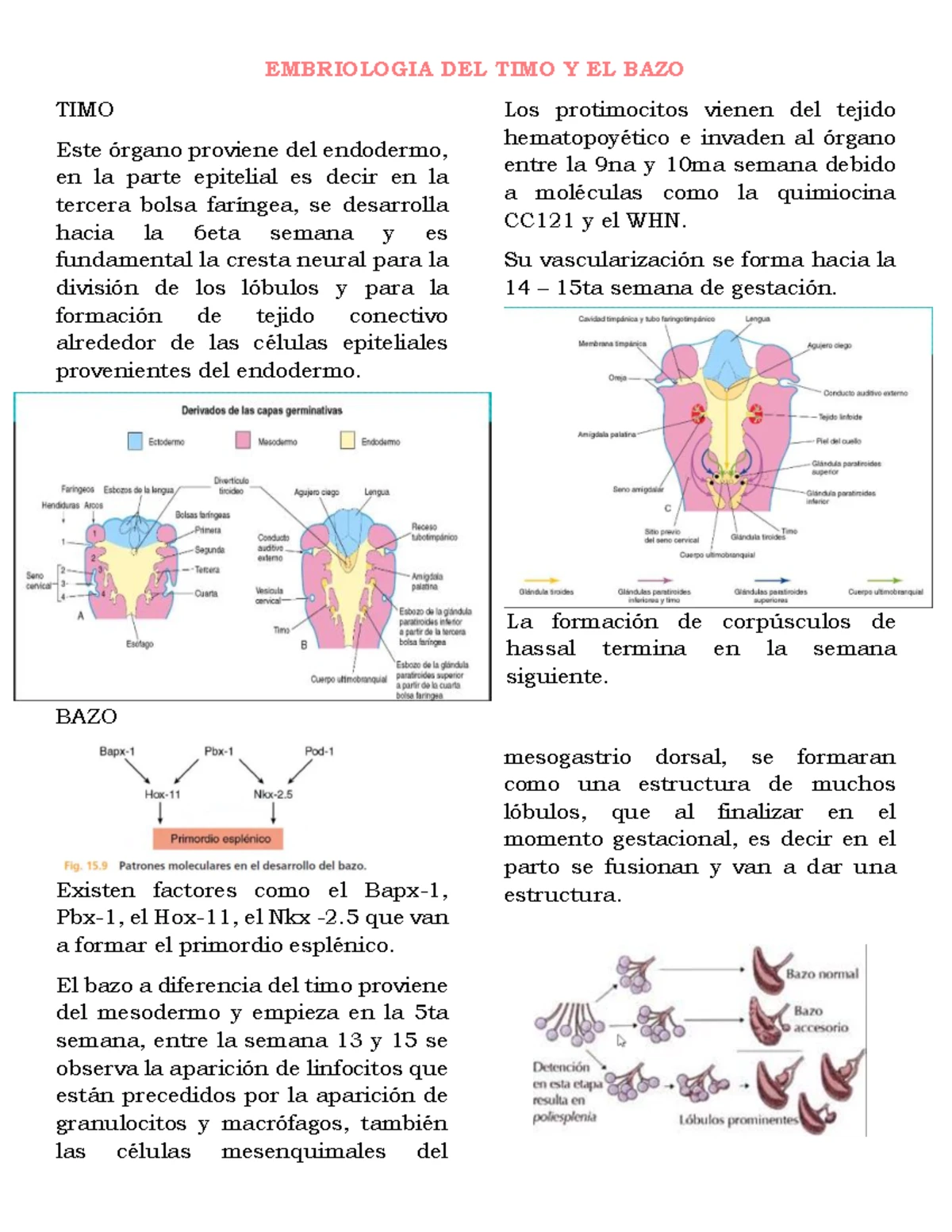 Studocu - Resúmenes, apuntes y preparación de exámenes gratis