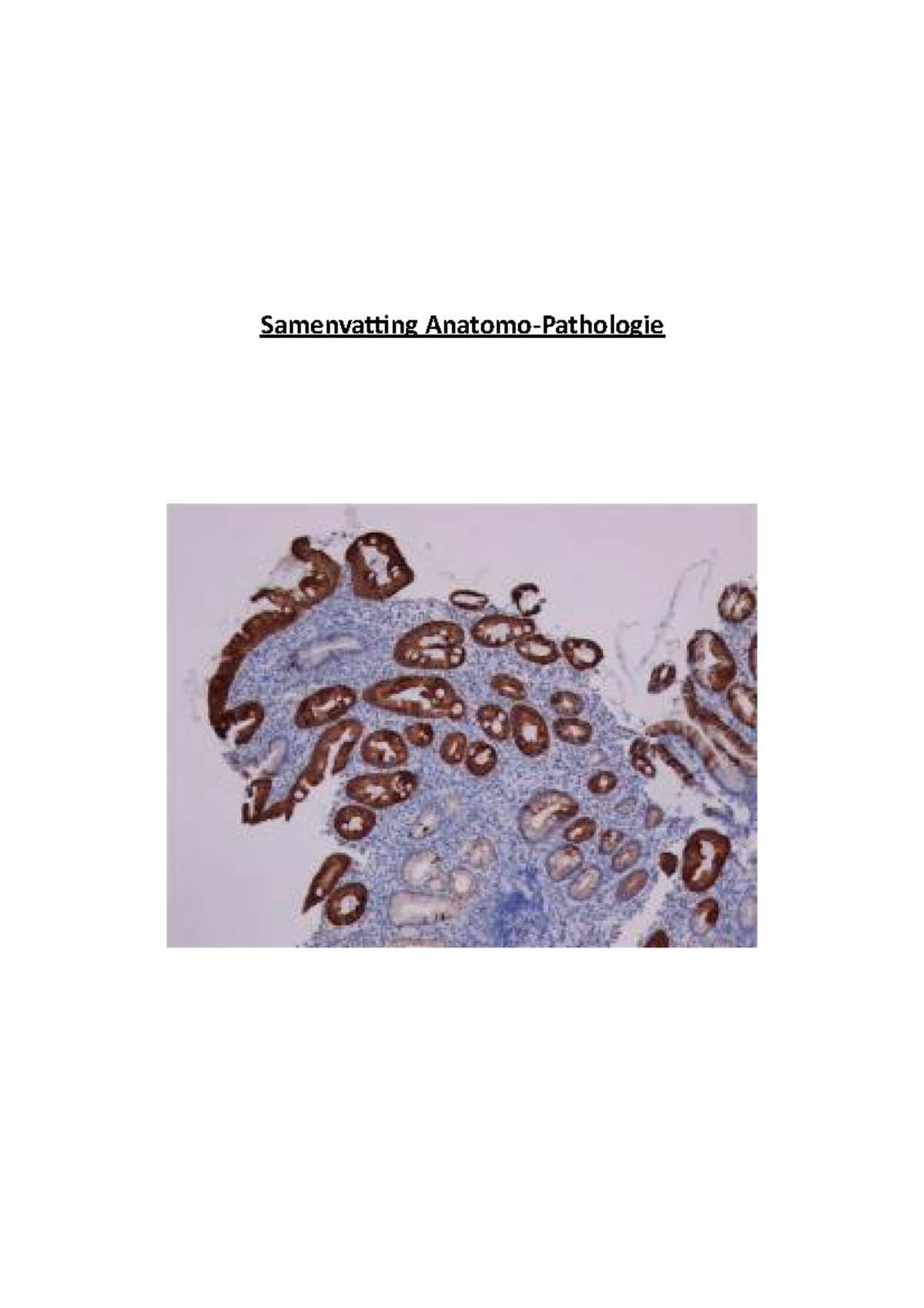 Samenvatting Anatomo-pathologie - Samenvatting Anatomo-Pathologie ...