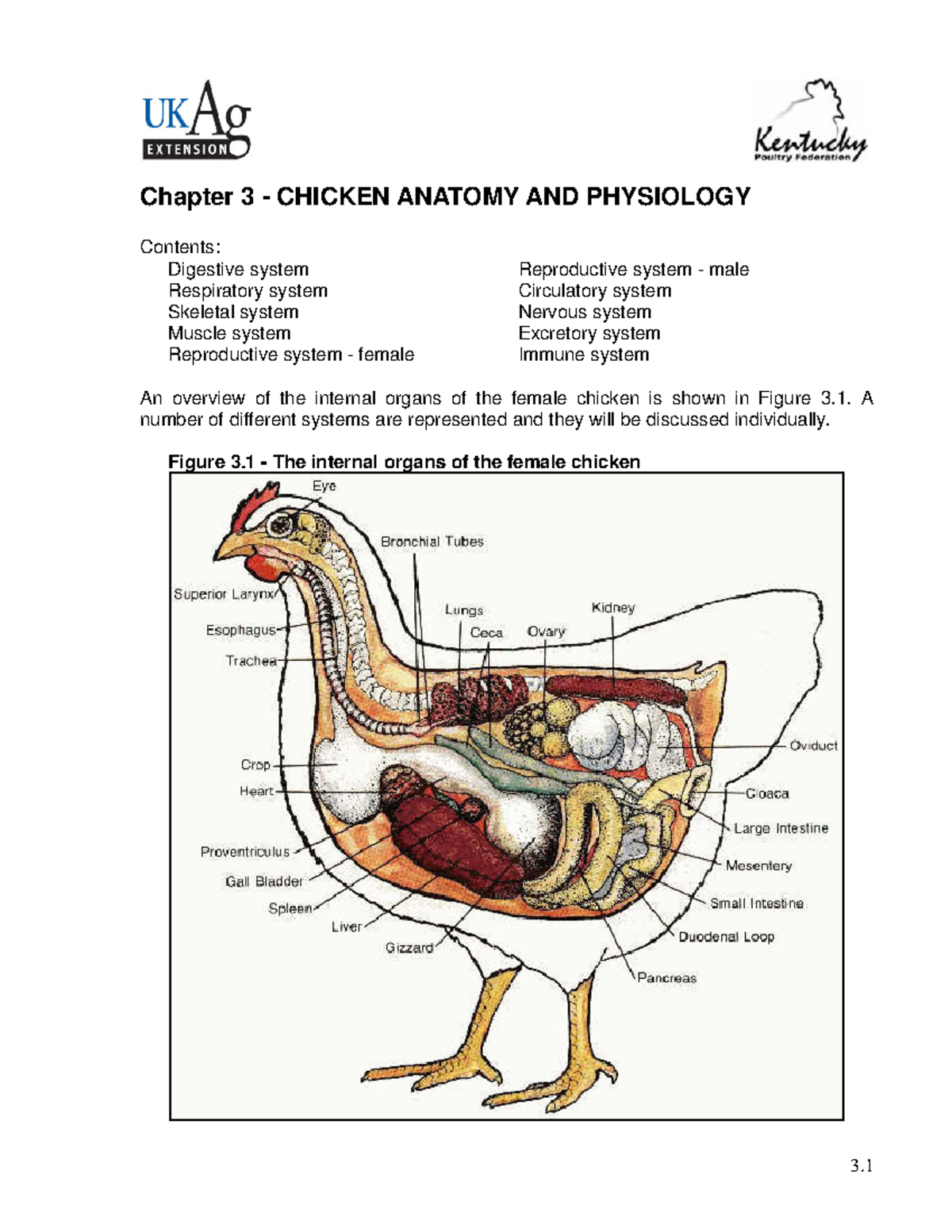 Poultry anatomy - good - Chapter 3 - CHICKEN ANATOMY AND PHYSIOLOGY ...