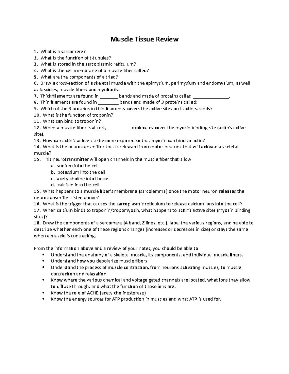 Third exam review - Muscle Tissue Review What is a sarcomere? What is ...