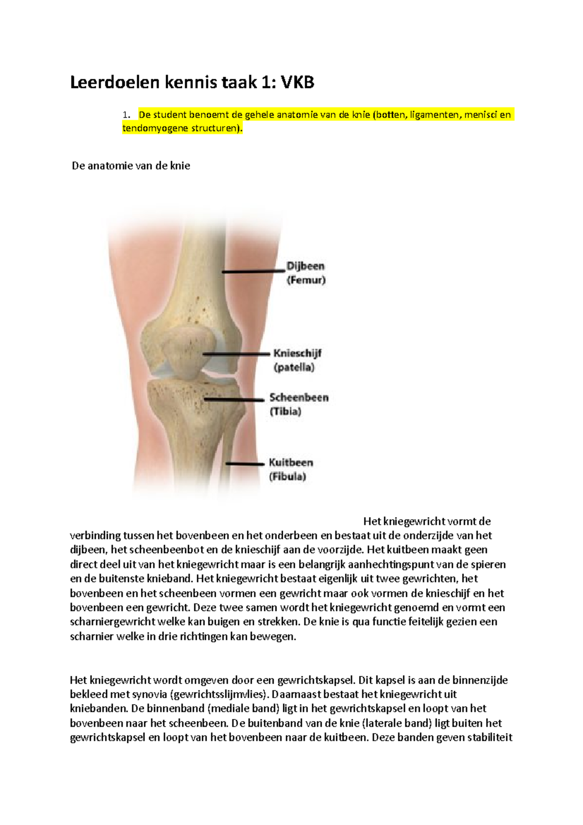Leerdoelen kennis taak 1 - De anatomie van de knie Het kniegewricht ...