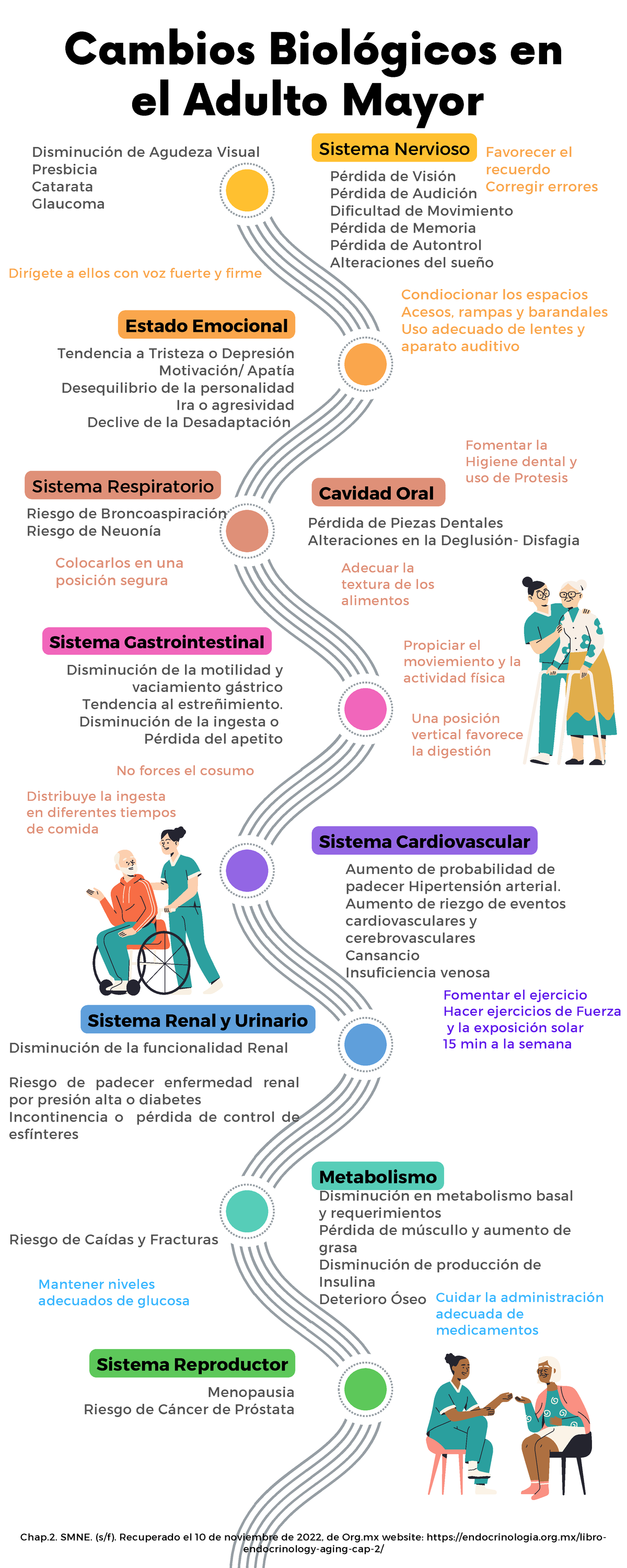 Cambios Biológicos en el Adulto Mayor - Sistema Nervioso Cavidad Oral Sistema Cardiovascular ...