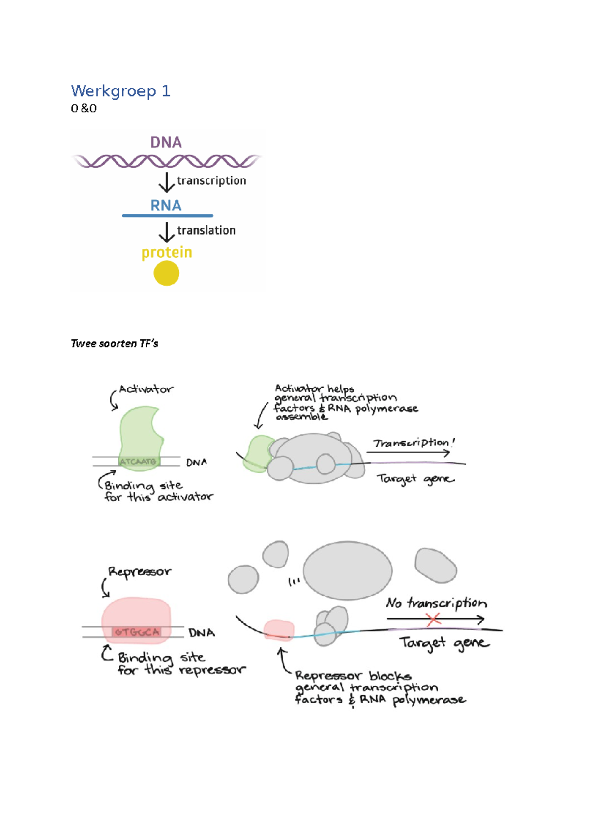 WG1 - Werkgroep aantekeningen week 1 - Werkgroep 1 O &O Twee soorten TF ...