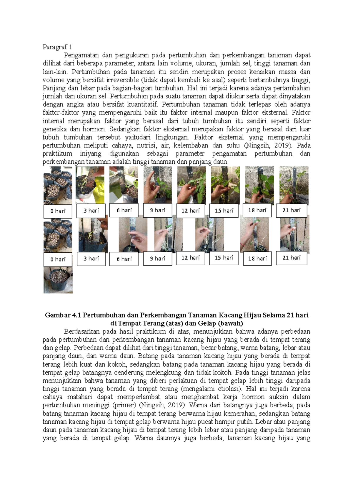 Paragraf 1 - Fisiologi Tumbuhan - Paragraf 1 Pengamatan dan pengukuran ...