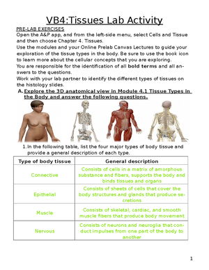 2023 ZOOL 2011 .17 - VB2 Lab Anatomical Scavenger Hunt - VB2 Lab ...