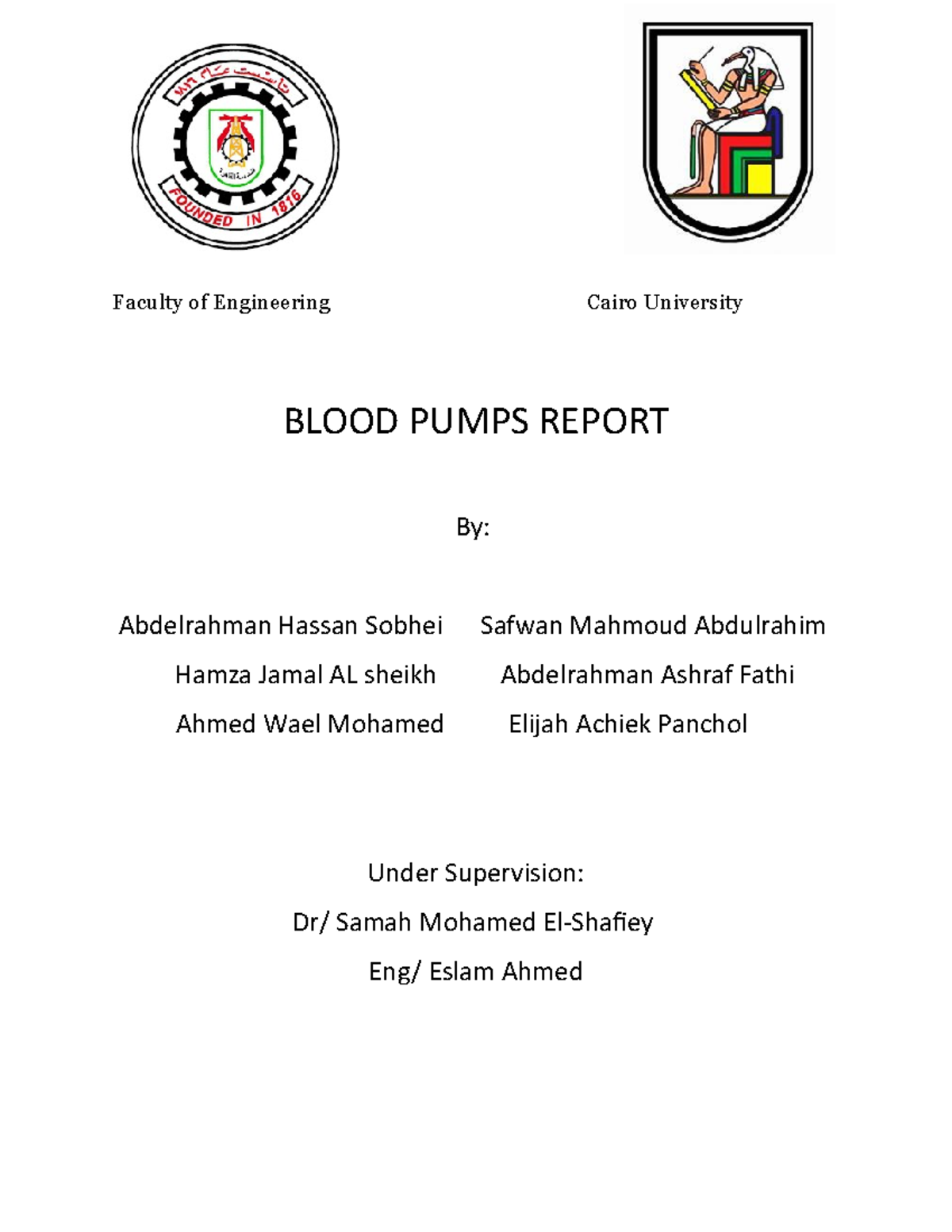 Fluid report assignment - Faculty of Engineering Cairo University BLOOD ...