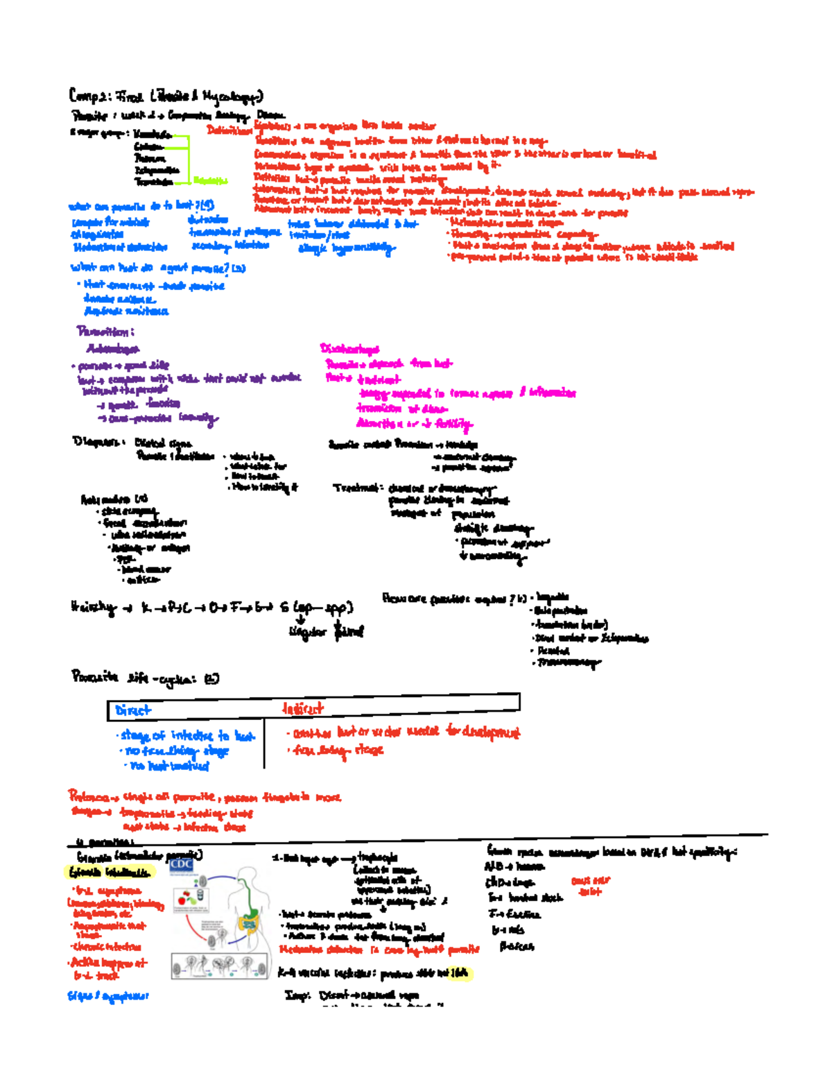 Week 2 comp 2 final - First year course (very summarized) pictures ...
