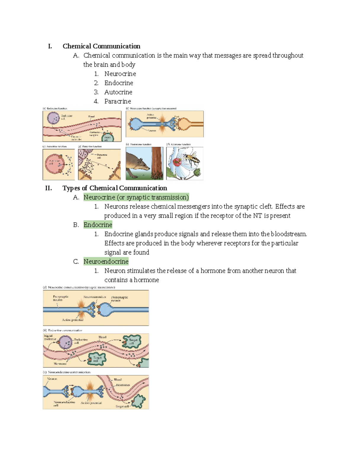 Hormones- Part 1 - notes - I. Chemical Communication A. Chemical ...