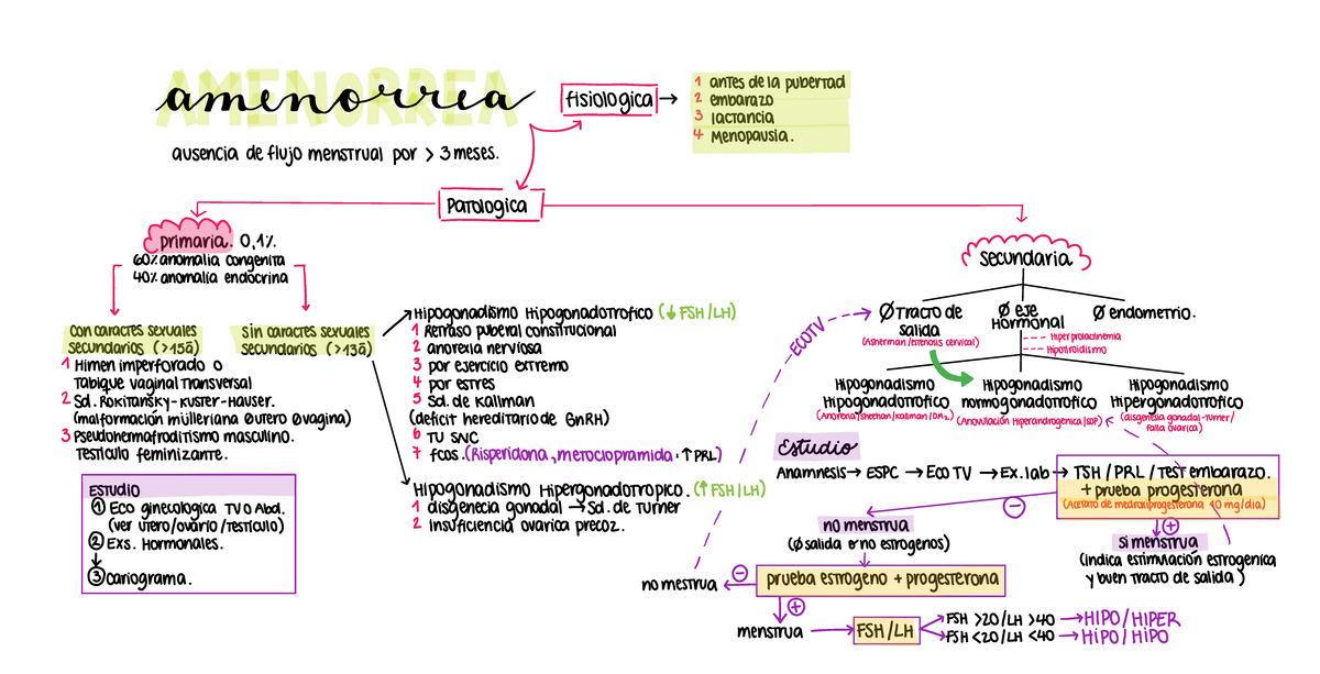 Amenorrea - resumen grafico de causas de amenorrea - Ginecología Y ...