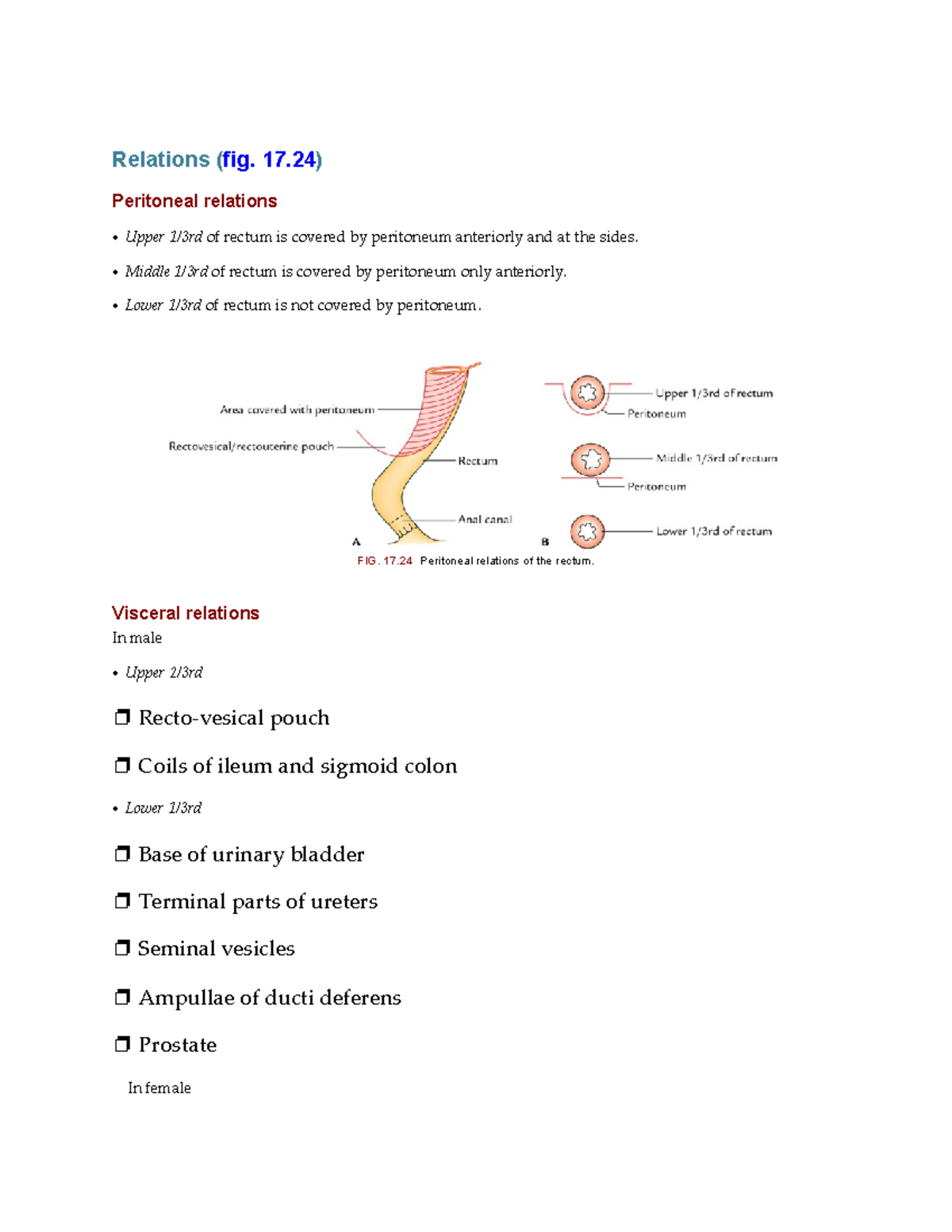 Selective Anatomy Vol 2-39 - Relations (fig. 17) Peritoneal relations ...