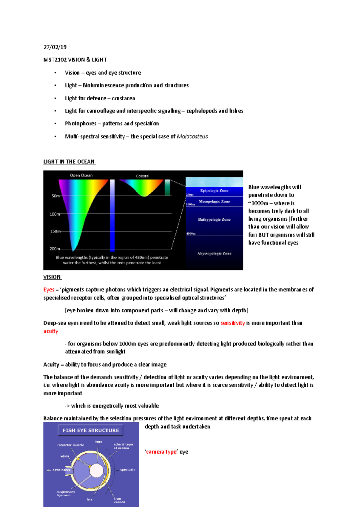 Vision, light & transparency - 27/02/ MST2102 VISION & LIGHT Vision ...