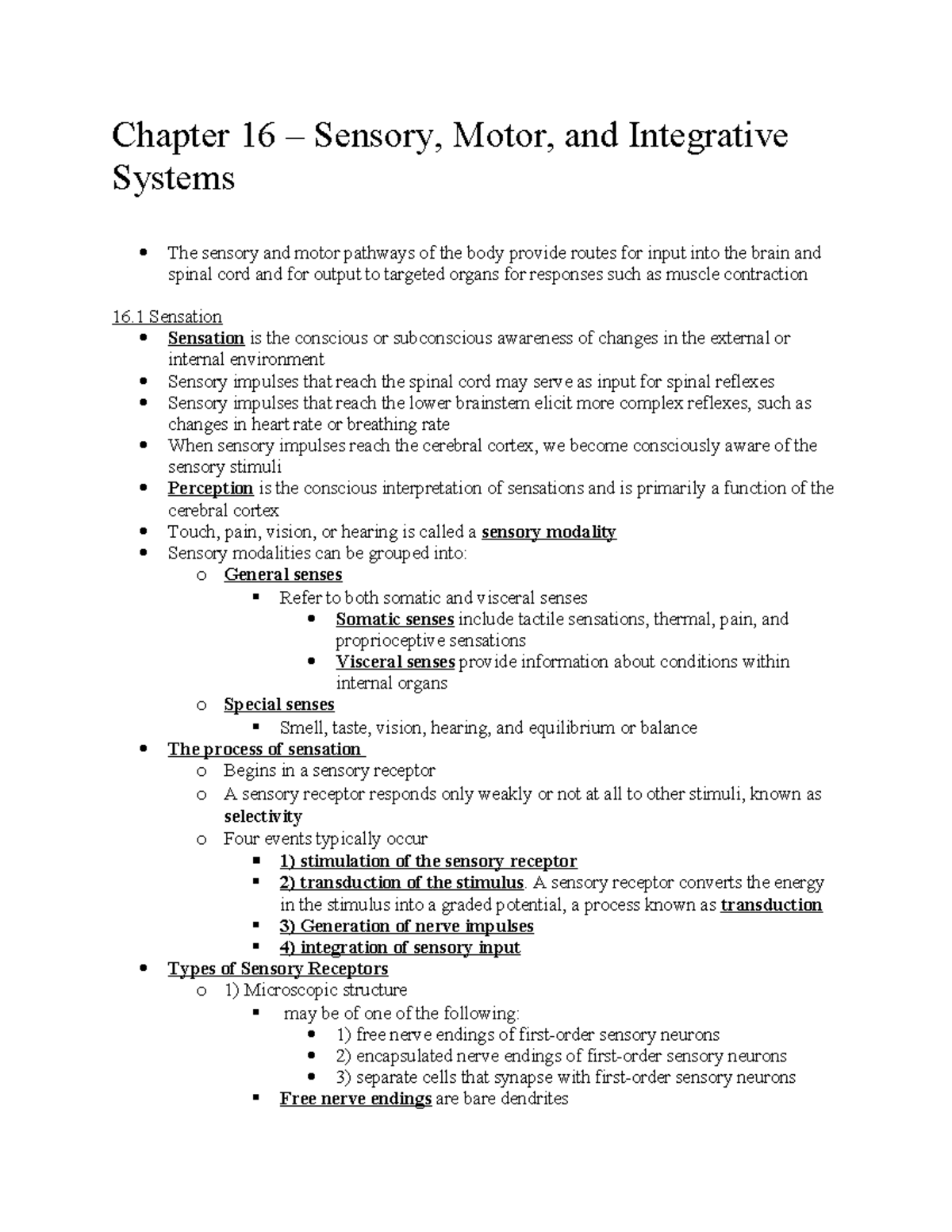 Chapter 16 - Chapter 16 – Sensory, Motor, and Integrative Systems The ...