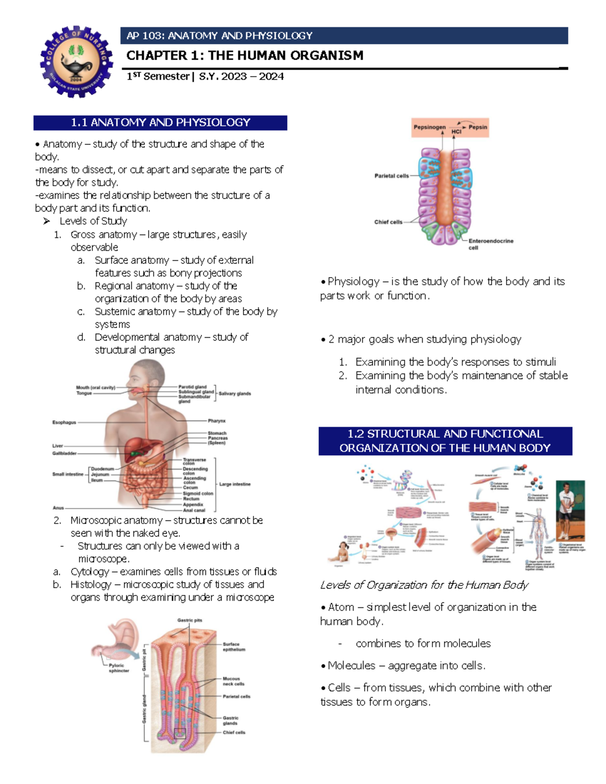 Chapter 1 - AP 103 - The Human Organism - transes - 1 ANATOMY AND ...