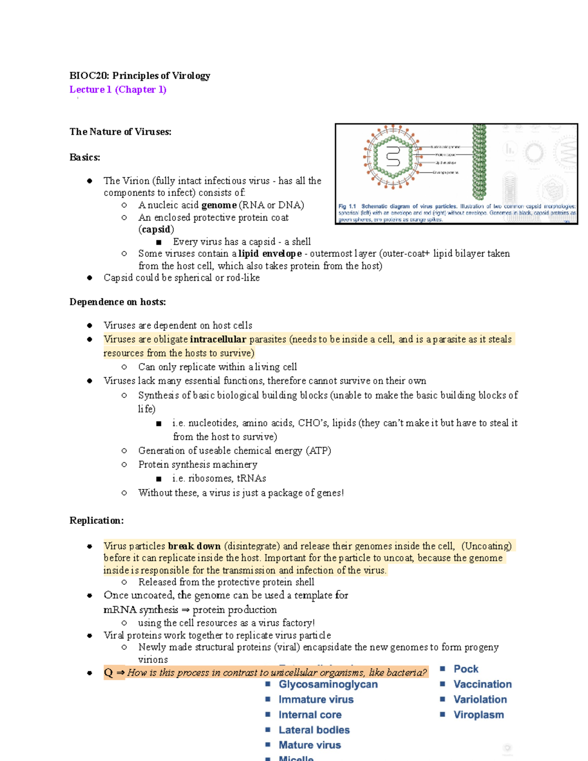 BIOC20 - Virology - very detailed notes - BIOC20: Principles of ...