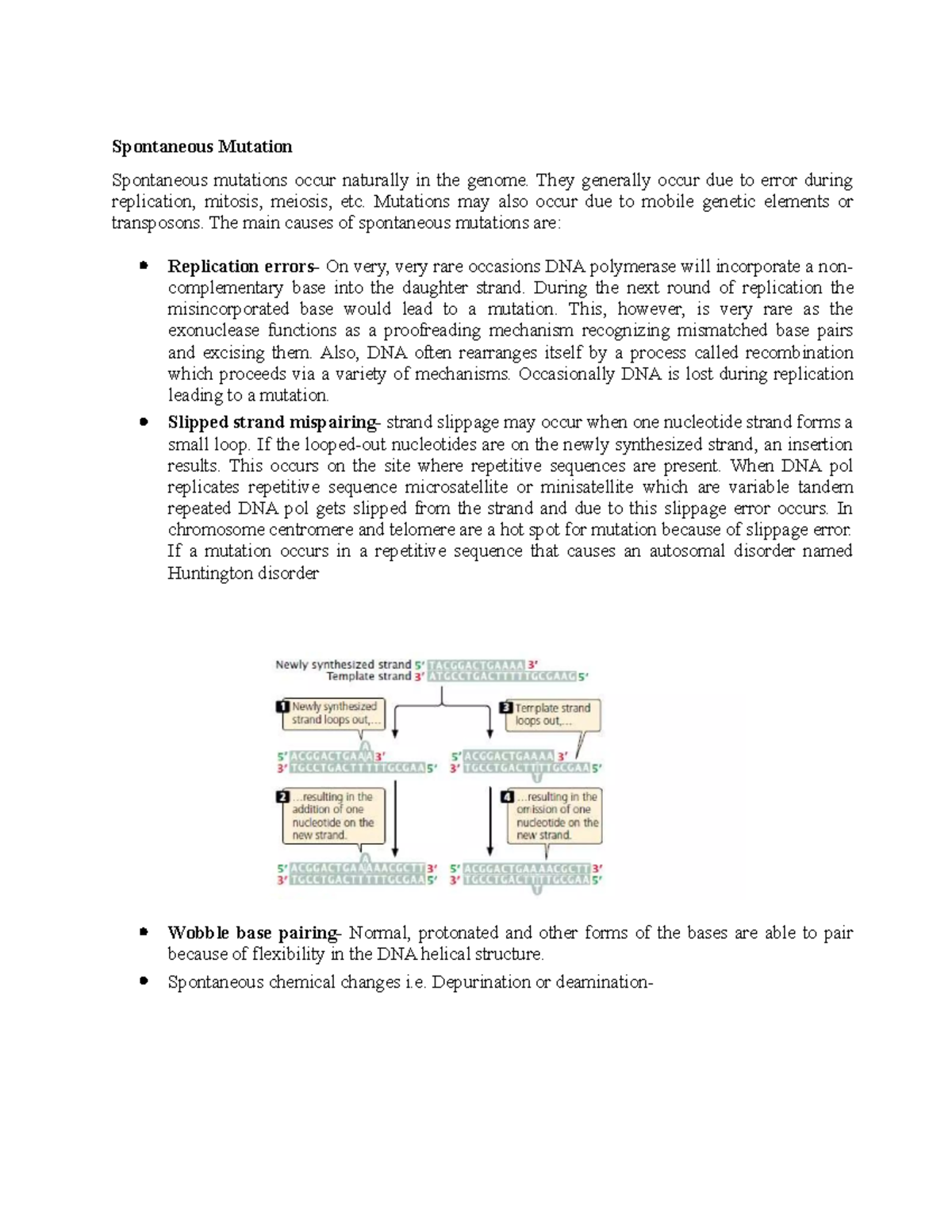 Mutation - Spontaneous Mutation Spontaneous mutations occur naturally ...