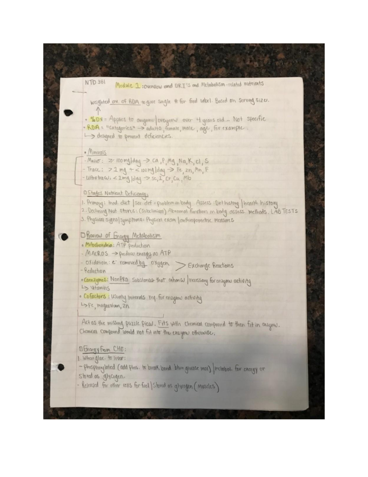 NTD 381 Module 1 Written Notes - NTD 381 - Studocu