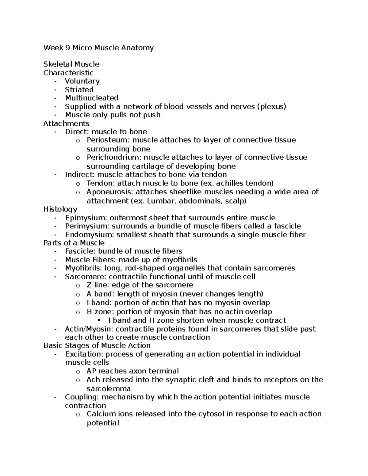 Week 9 Micro Muscle Anatomy - Week 9 Micro Muscle Anatomy Skeletal ...