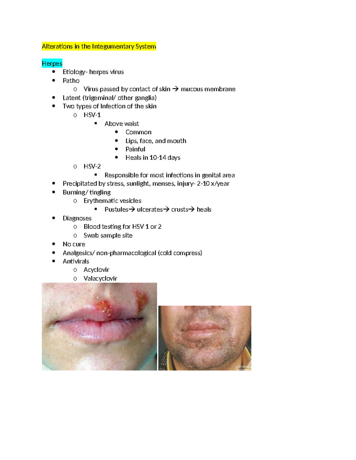 Pathos Exam 2 - good - Alterations in the Integumentary System Herpes ...