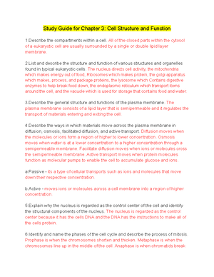 Chapter 2 Study Guide-2 - Study Guide for Chapter 2: The Chemical Level ...