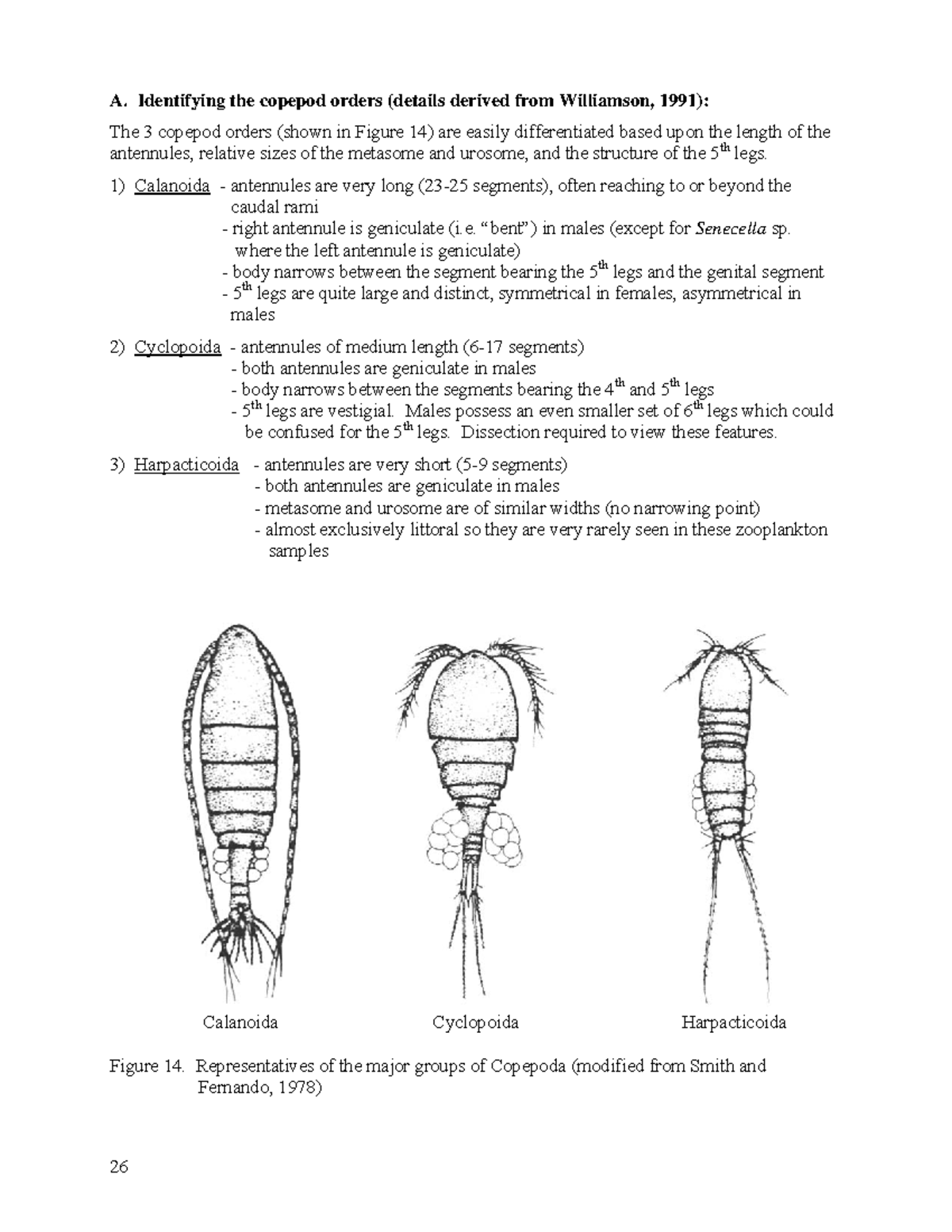 Zooplankton Britannicacom