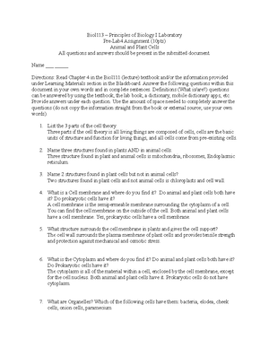 E.coli Lab Report - Erika Martinez Bio 223 Lab Report: The growth and ...