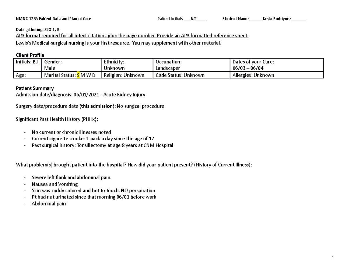 1235 Care Plan 2021 - AKI Case Study - Data gathering: SLO 1, 6 APA ...