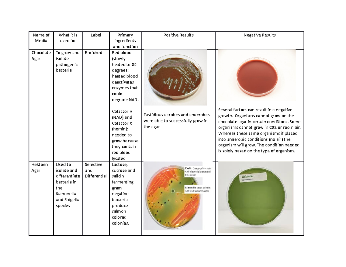 Media Assignment - Name of Media What it is used for Label Primary ...