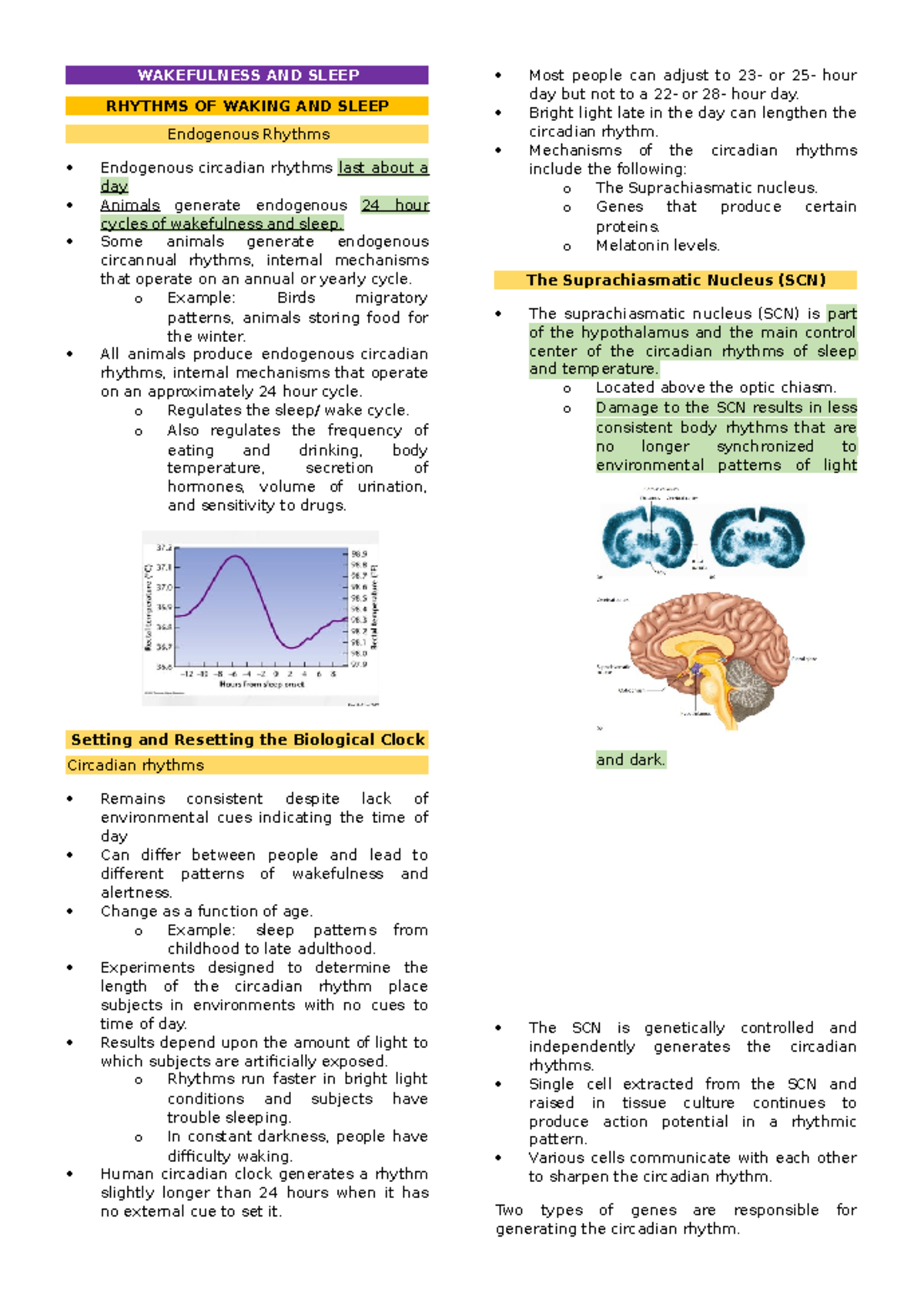 Wakefulness AND Sleep - WAKEFULNESS AND SLEEP RHYTHMS OF WAKING AND ...