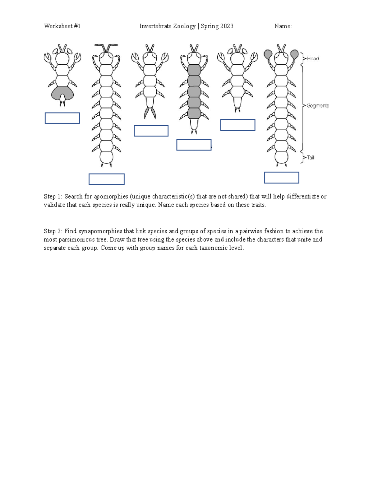 Worksheet 1 - Worksheet #1 Invertebrate Zoology | Spring 2023 Name ...
