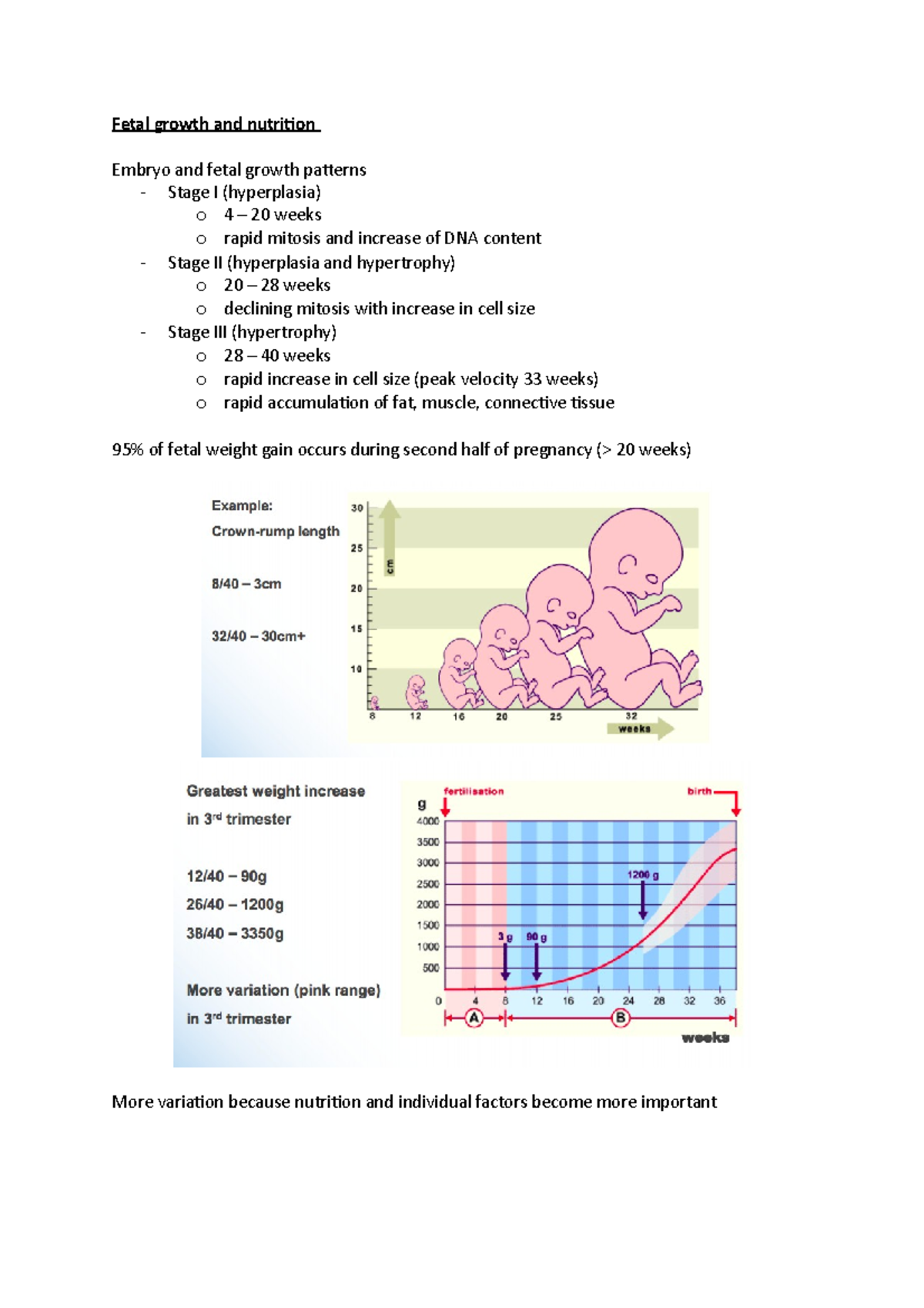 Human Development W5 Fetal growth and nutrition - Fetal growth and ...