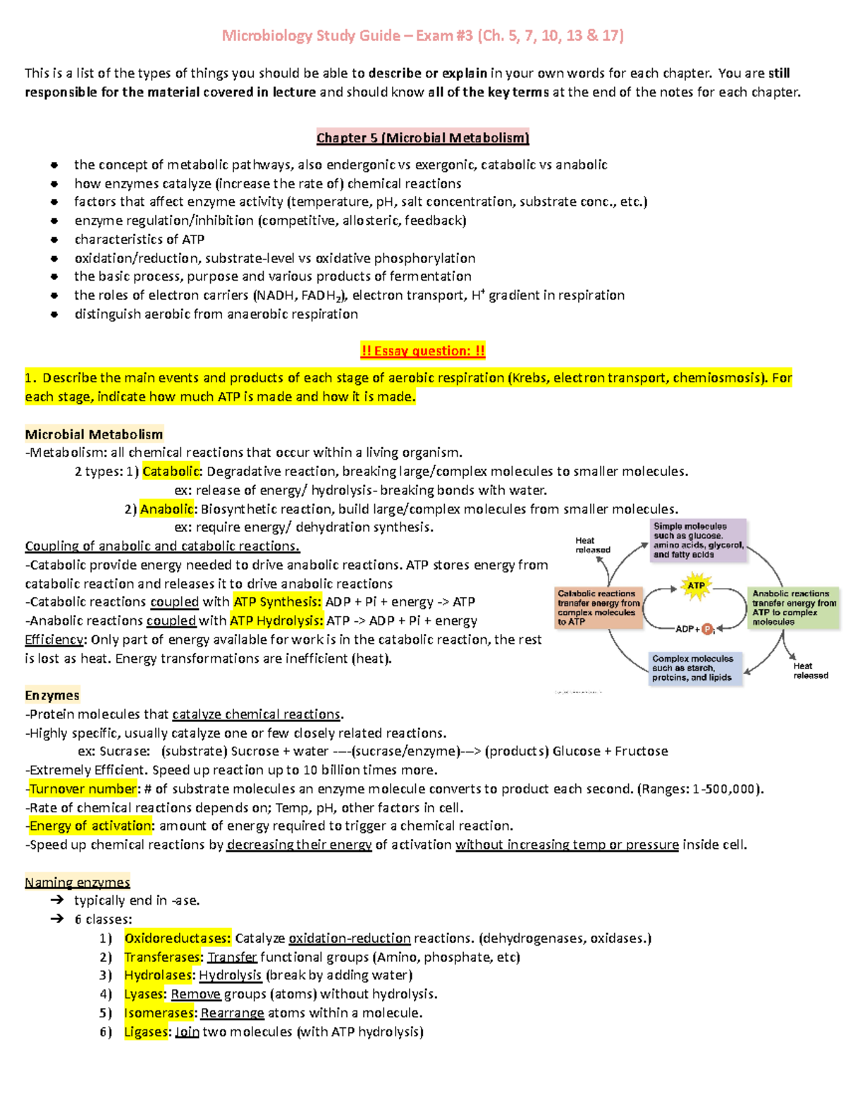 ( SG ) Microbio. Exam 3 Ch 10, 13, 17, 5 and 7 - Microbiology Study ...