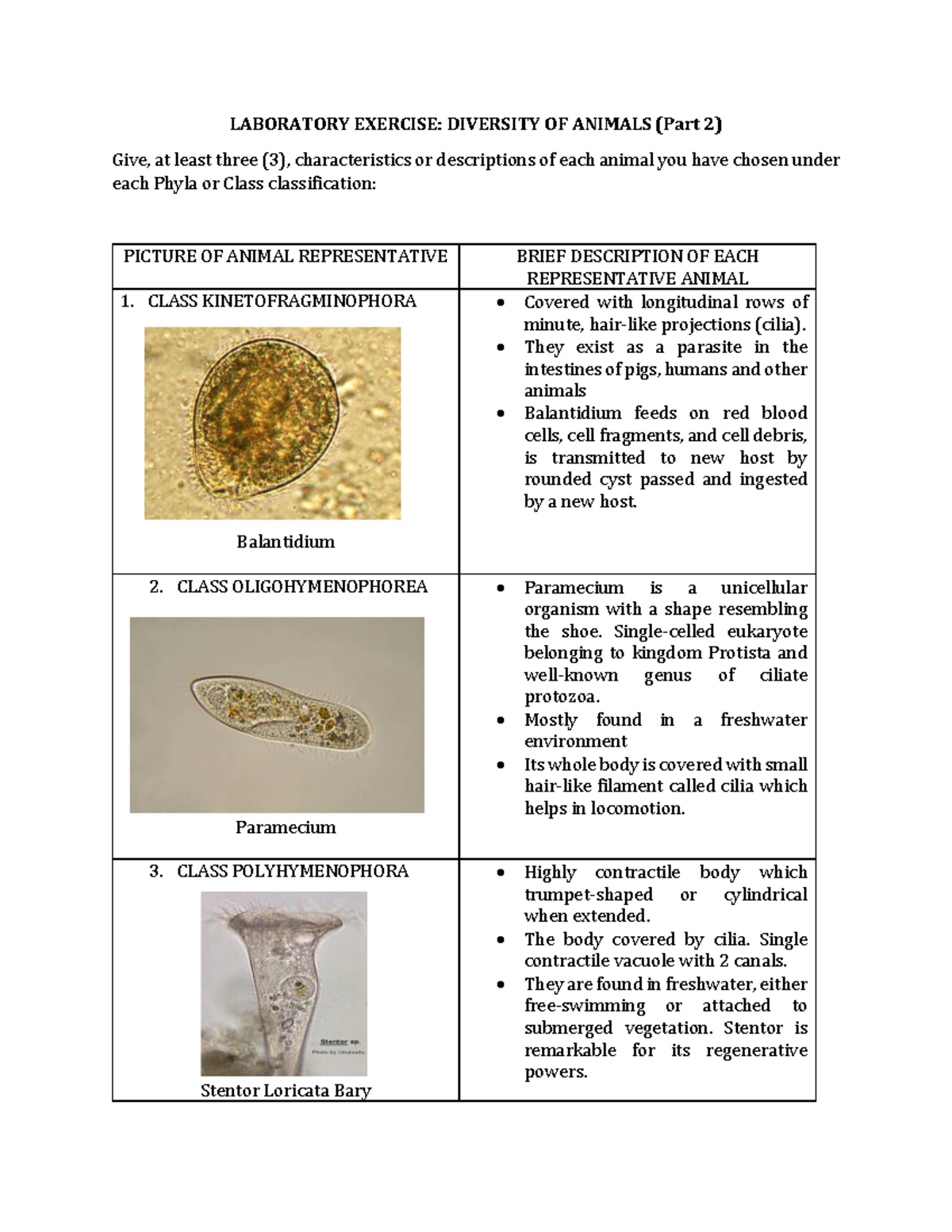 Zoology Lab. Exer. No. 6 = Diversity OF Animals Part 2 - LABORATORY ...
