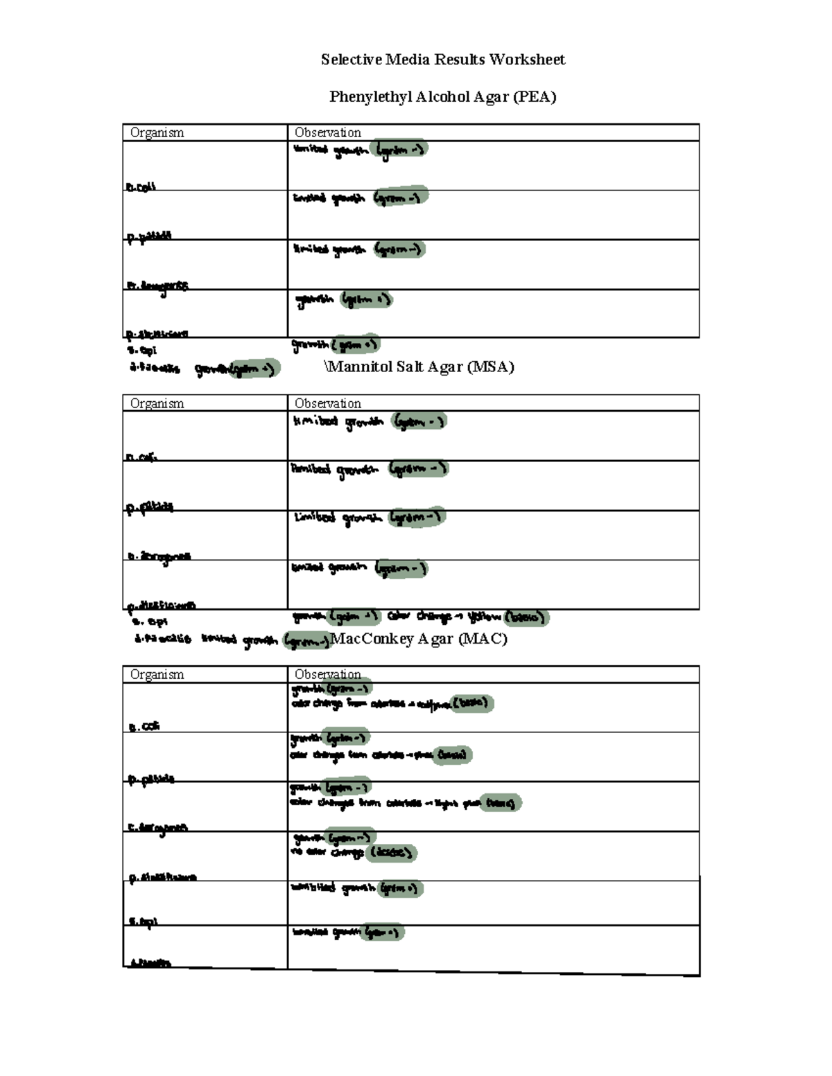Selective+Media+Results+Worksheet - Deprecated API usage: The SVG back ...