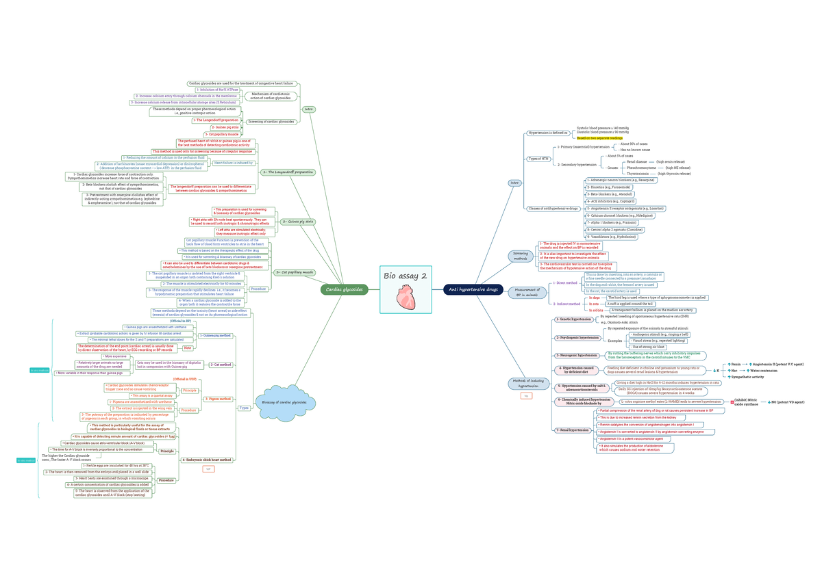 Neurotransmitters 2 mind map - Bio assay 2 Anti hypertensive drugs ...