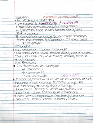 Medterms Module 9 notes - Integumentary (Latin) Integumentum meaning “a ...