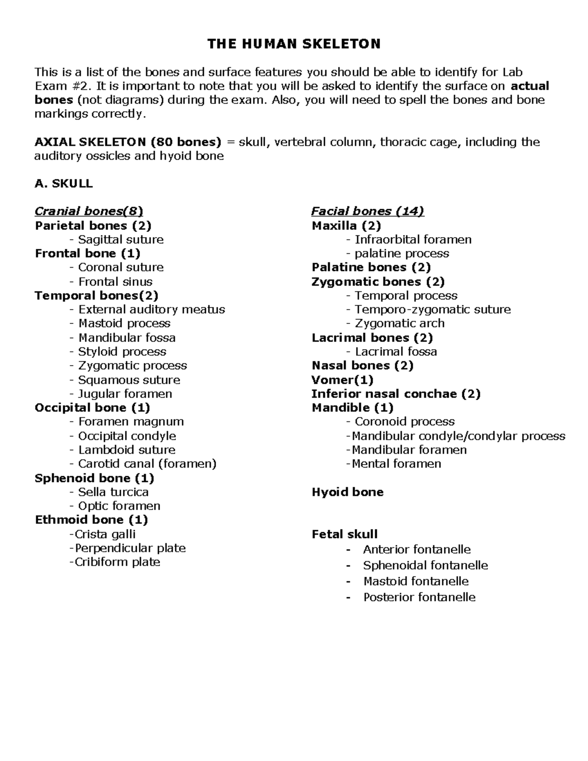 Bone List for Lab Exam 1 - THE HUMAN SKELETON This is a list of the ...