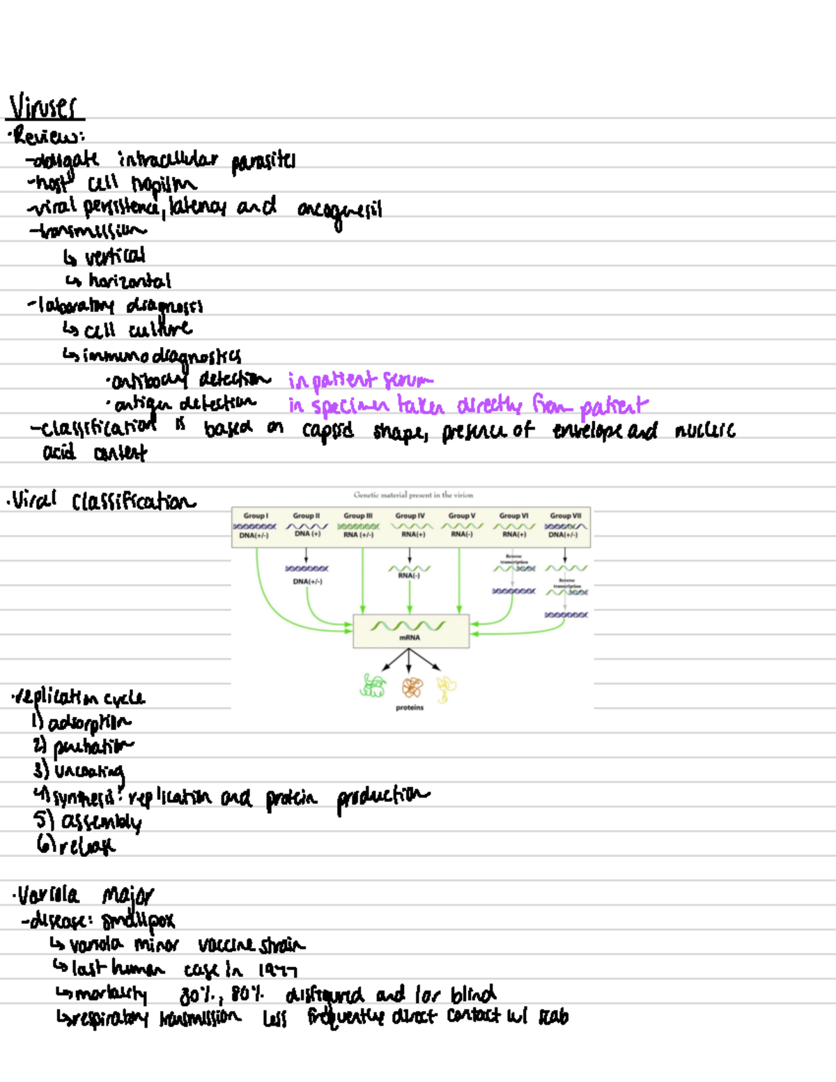 MMG 201 SS19 11 - learning objectives - Viruses ' Review : - obligate ...