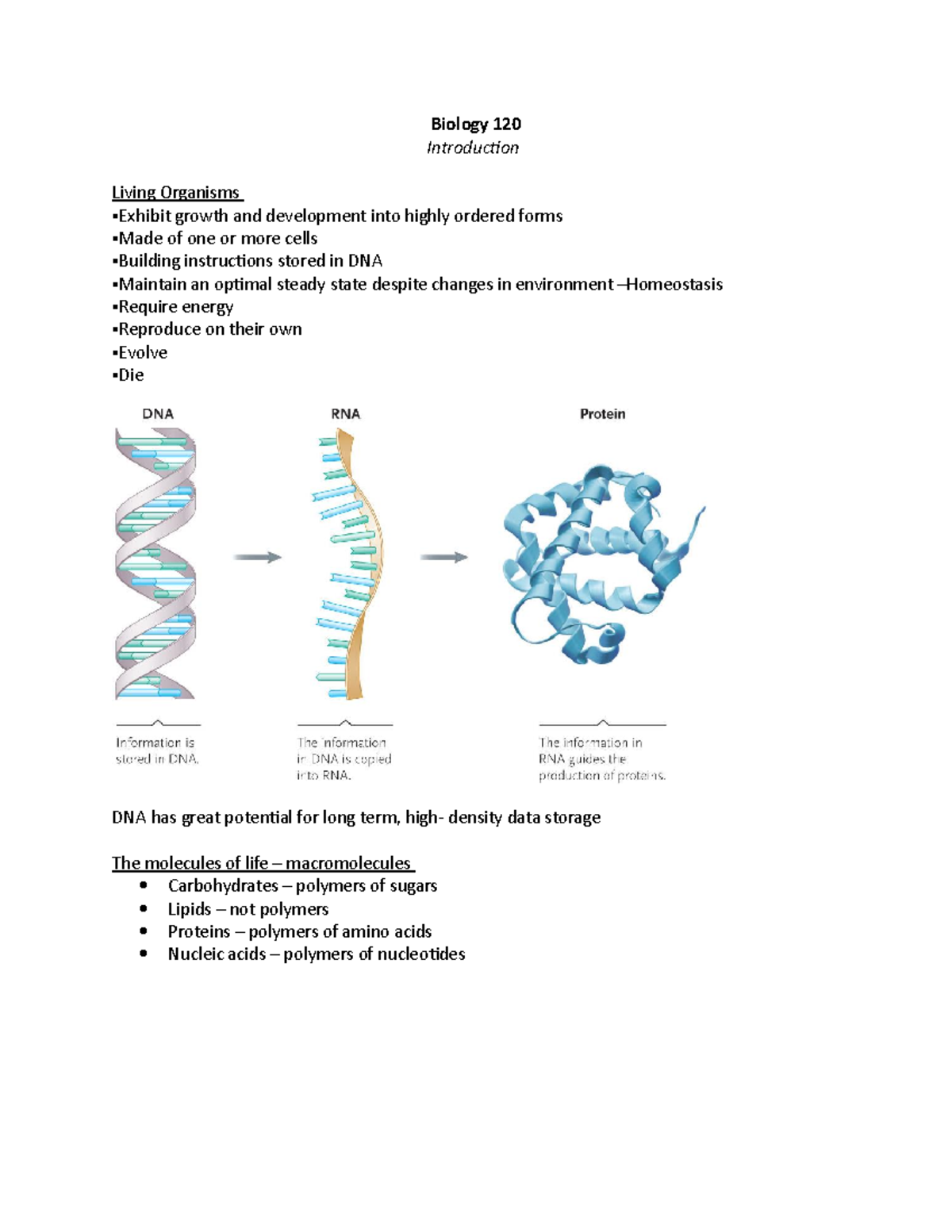 Bio intro - U of S - Studocu