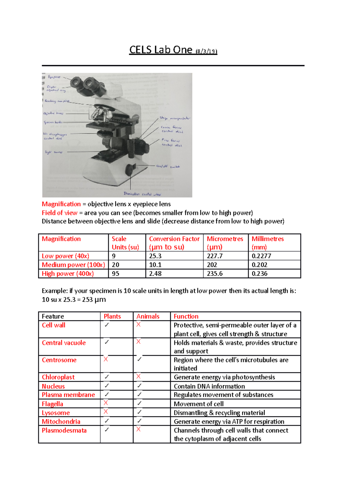 CELS Labs - CELS191 notes with average of 97% - CELS Lab One (8/3/19 ...