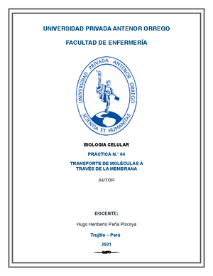 Semana 02 Practica 2 Informe Práctica Proteinas Enzimas 2020-20 ESTO- ENFE - OBSTok ...