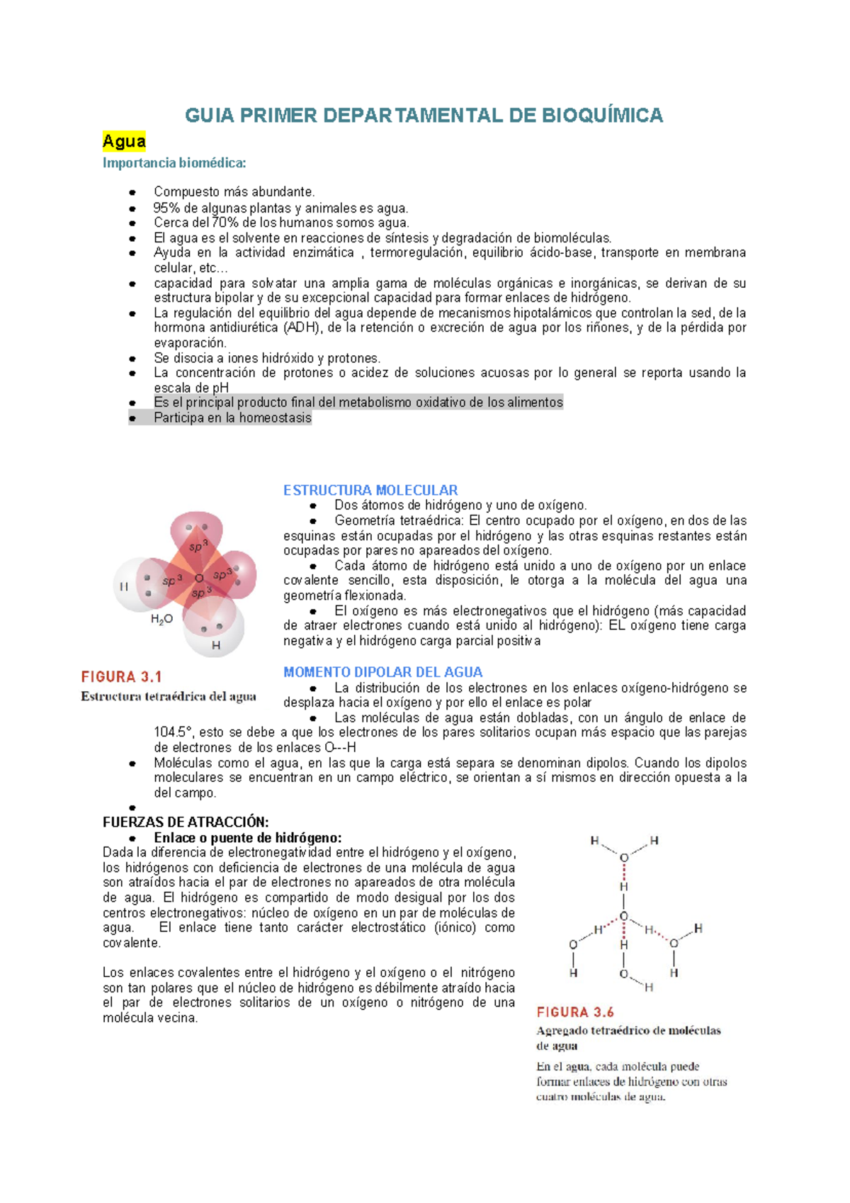 Guia-Bioqu Ã mica (1) - repaso de bioquimica - GUIA PRIMER DEPARTAMENTAL DE BIOQUÍMICA Agua ...
