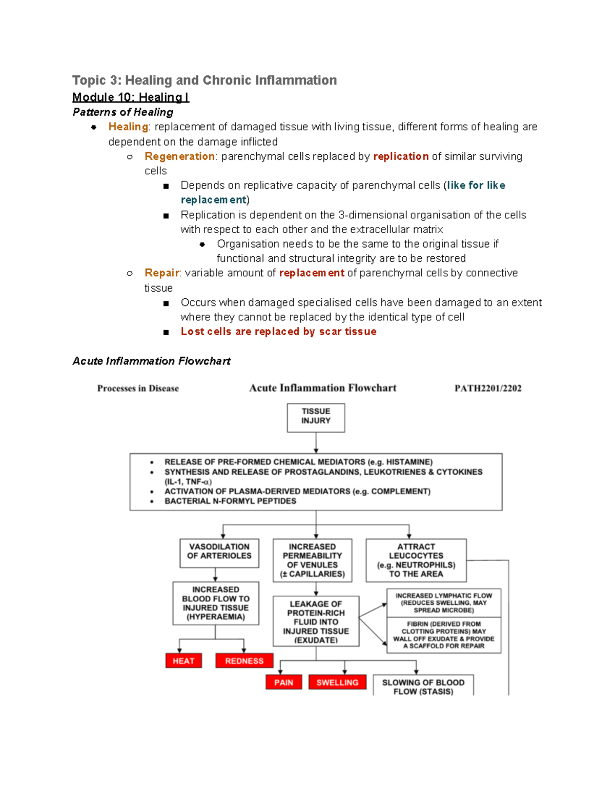 PATH2201 Online Module Notes(Topics 3-5) - Topic 3: Healing and Chronic ...